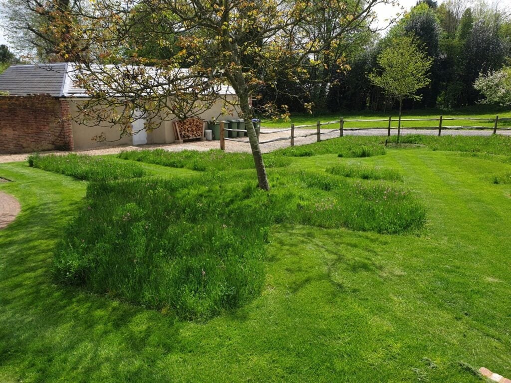 How to make a meadow | Purely Planting