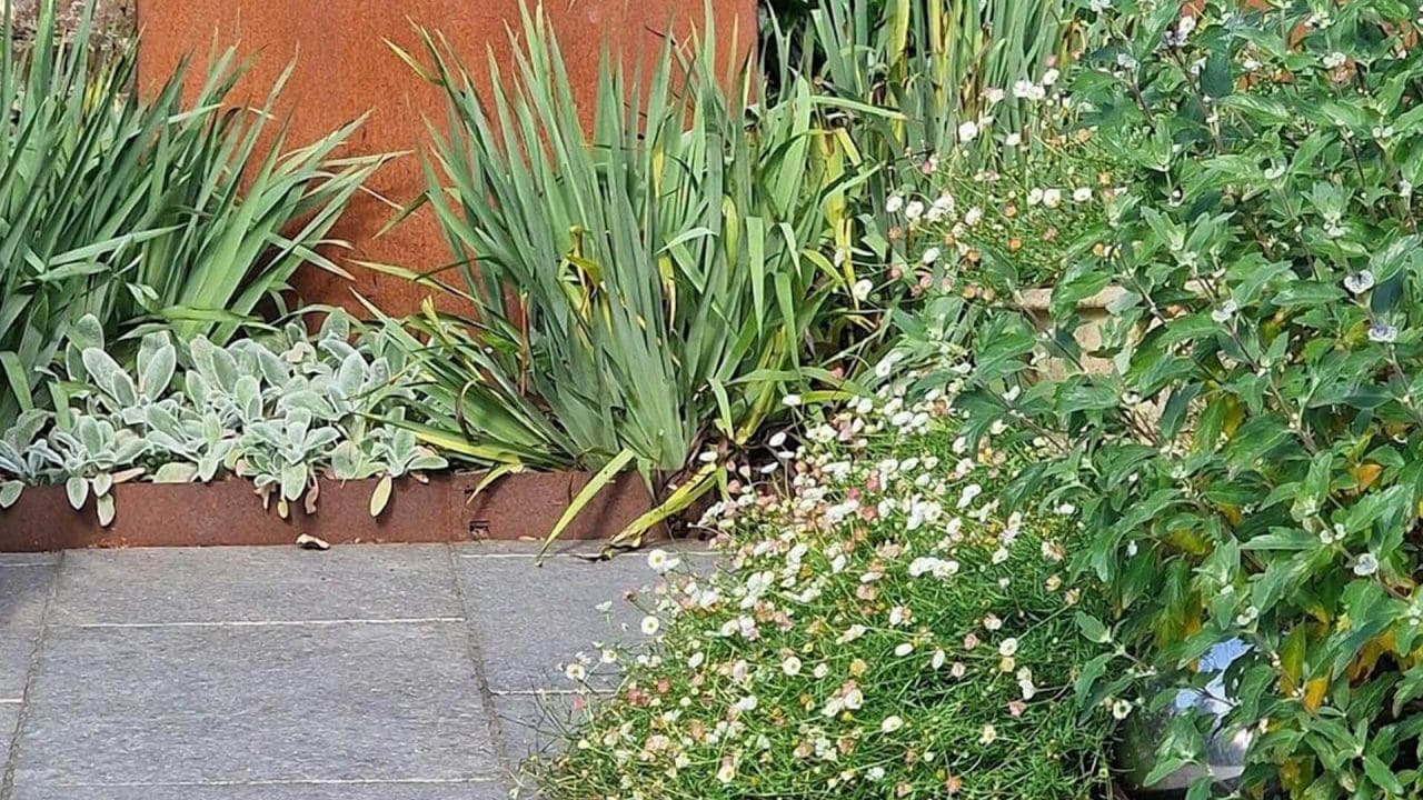 Professional Garden Build Services | Purely Planting